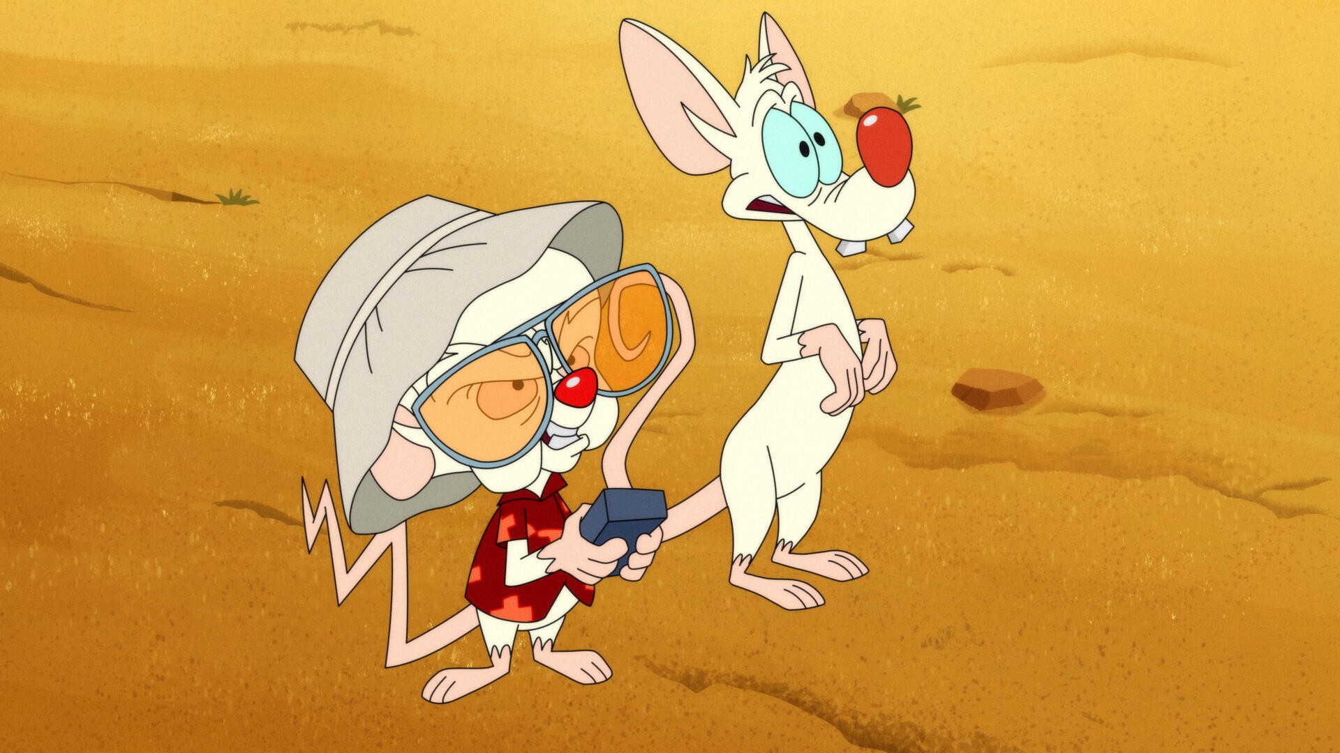 11 Unforgettable ’90s Cartoons That Shaped Our Childhoods (And Still ...