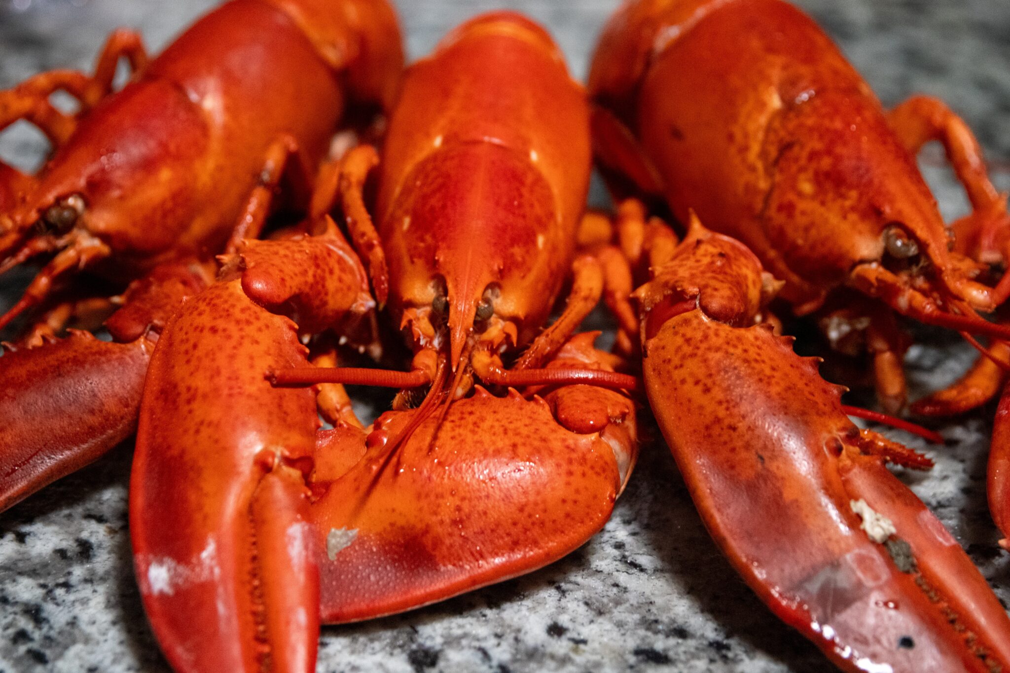 6 Foods That Were Once Poisonous Until Someone Took a Risk