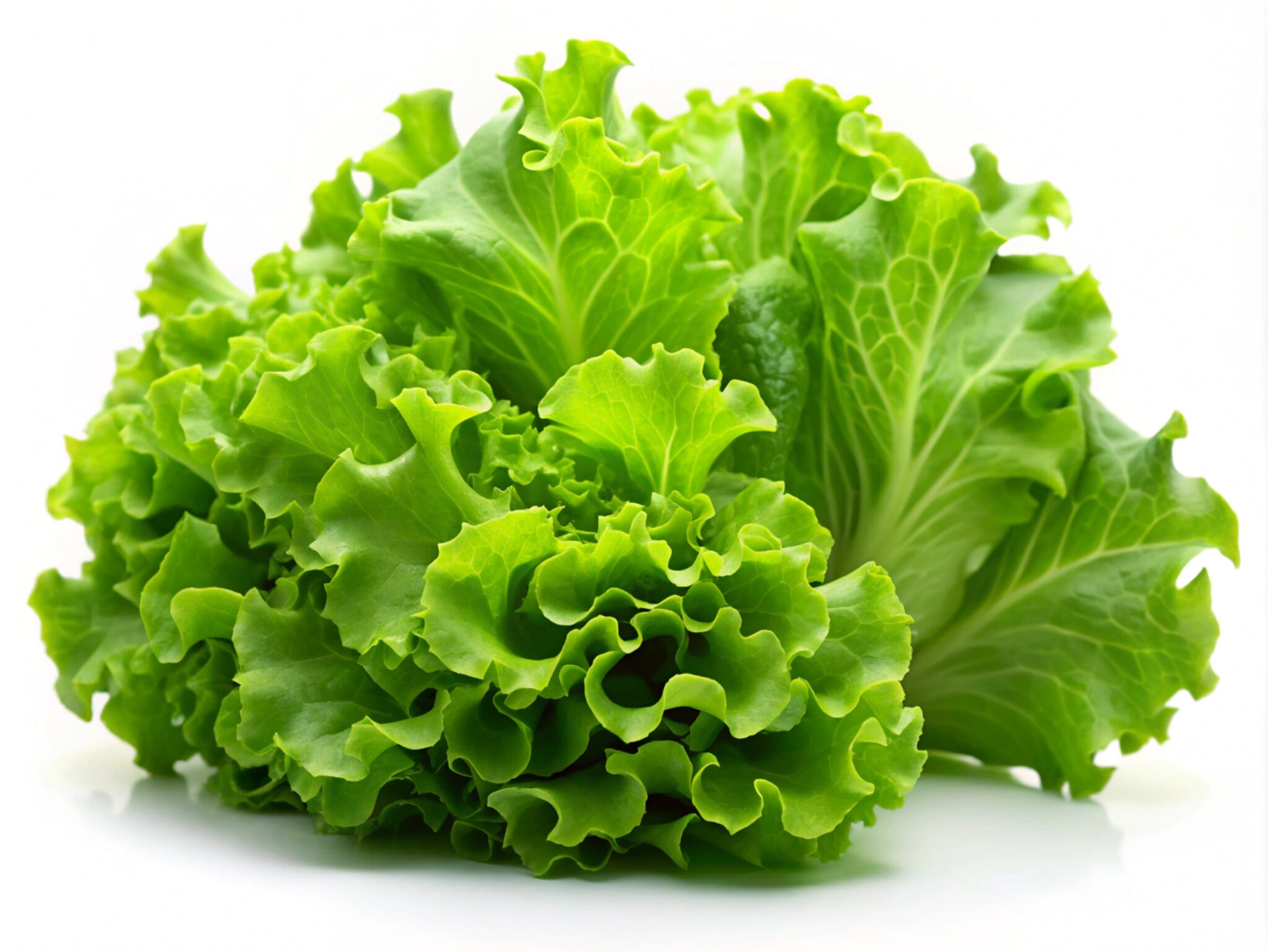 What Did Ancient Egyptians Eat? 12 Everyday Egyptian Dishes