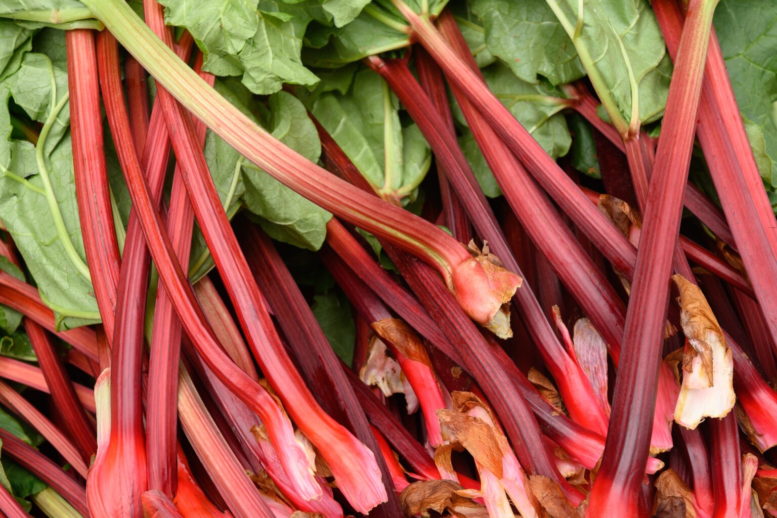 6 Foods That Were Once Poisonous Until Someone Took a Risk