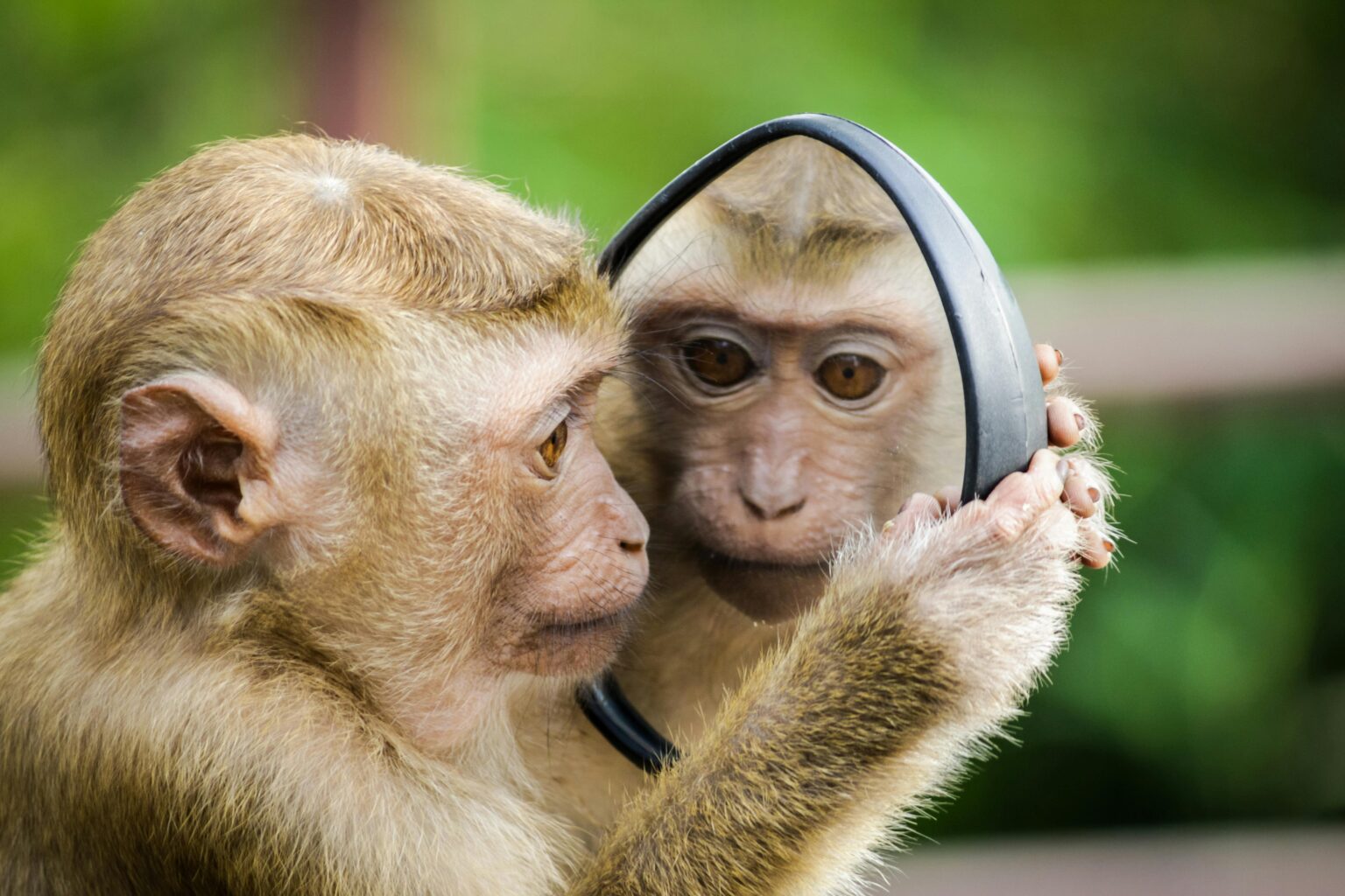 14 Eerie Myths About Mirrors That Cultures Still Believe